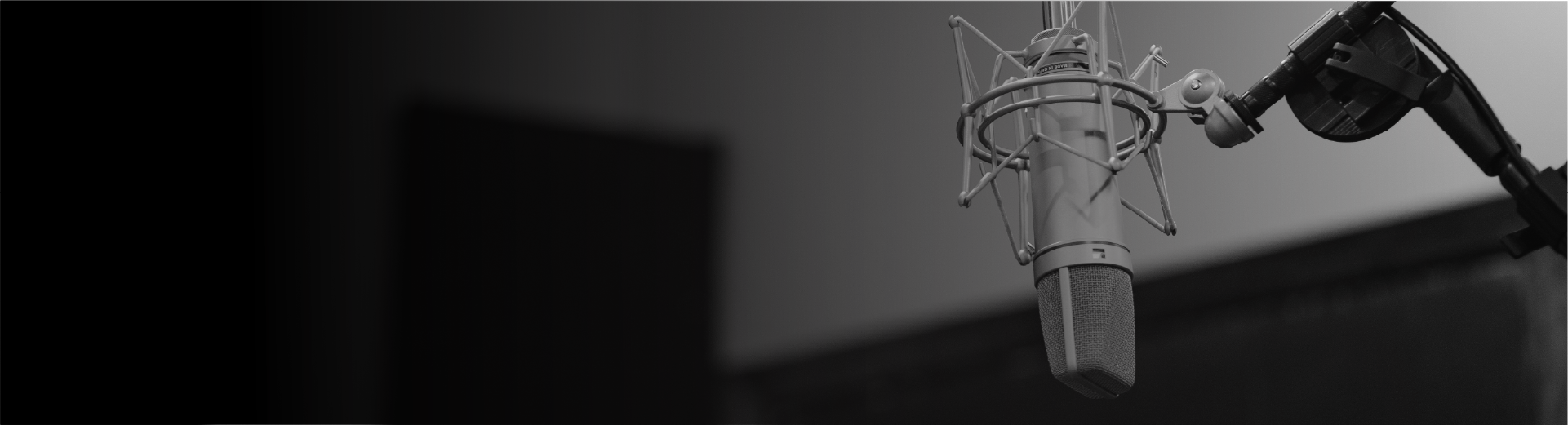 Microphones | RiverRock Studios